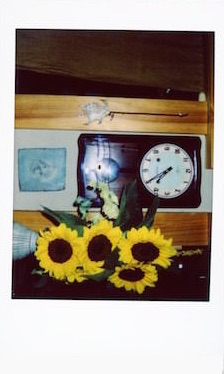 Ippuku – Yakitori, Soba and Shochu. Izakaya style dinner in Berkeley, CA